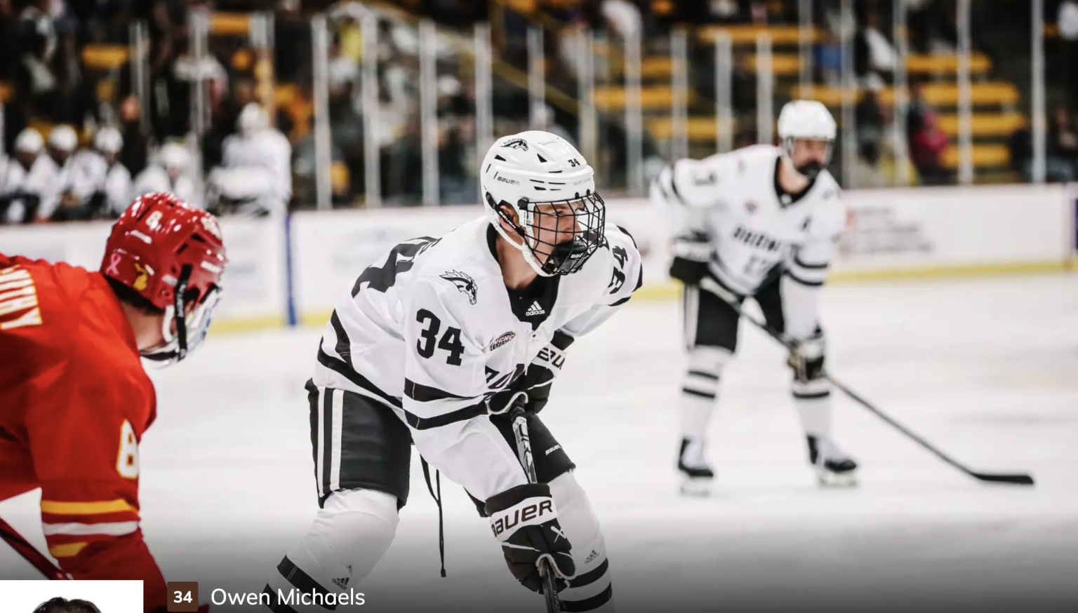 NCAA hockey hero Michaels' path paved with resilience