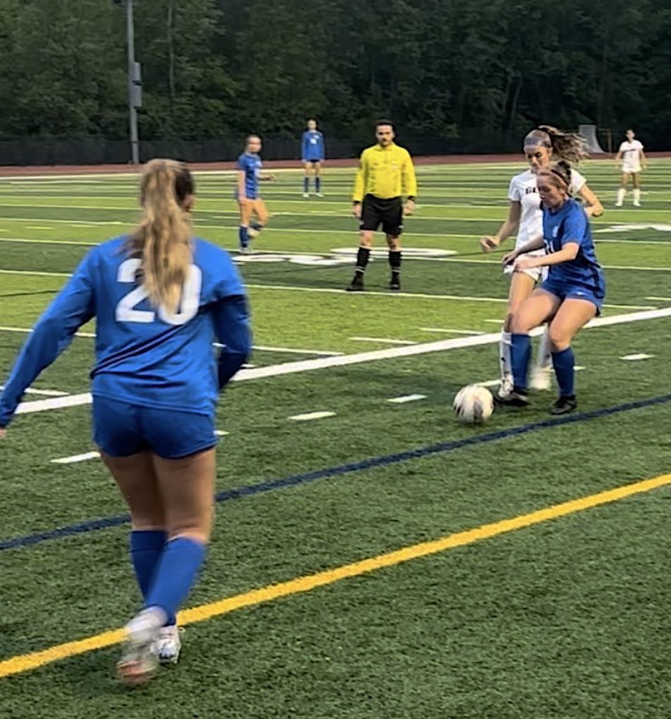 Salem's 7-0 rout sets up classic district final showdown