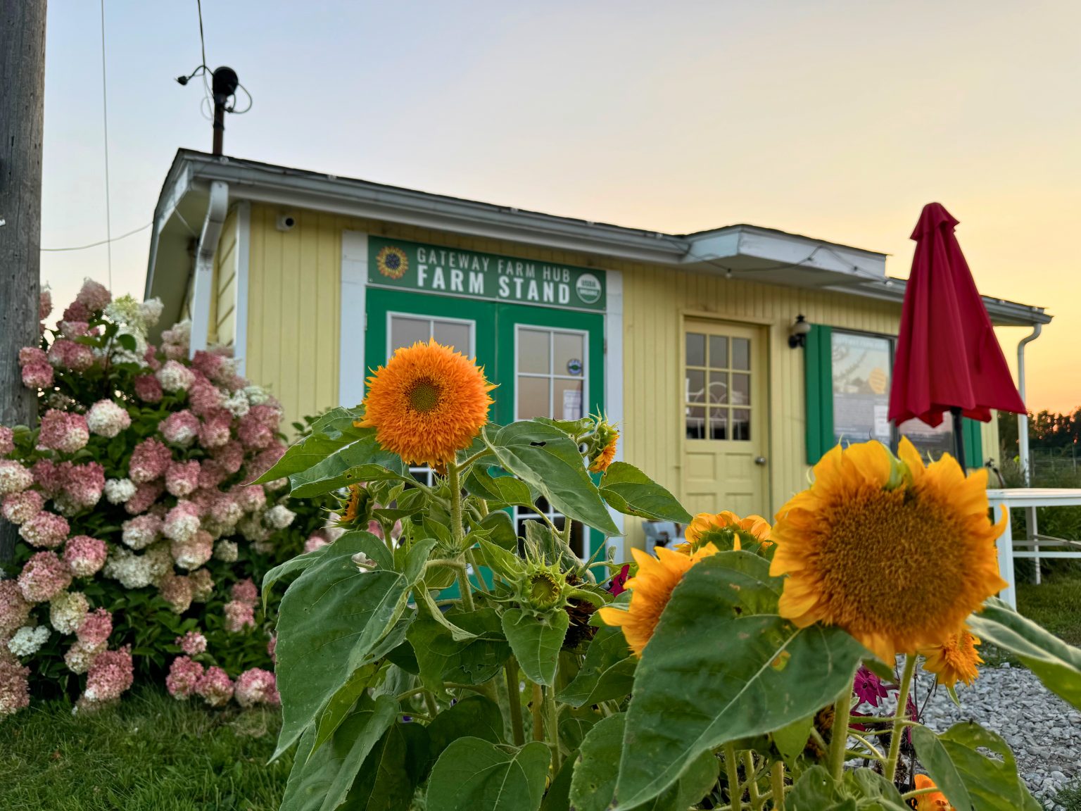 Plymouth's beloved Gateway Farm needs assistance to survive